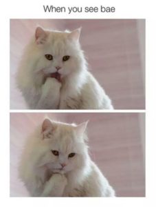 120+ Cute, Funny & Romantic Bae Quotes For Him and Her